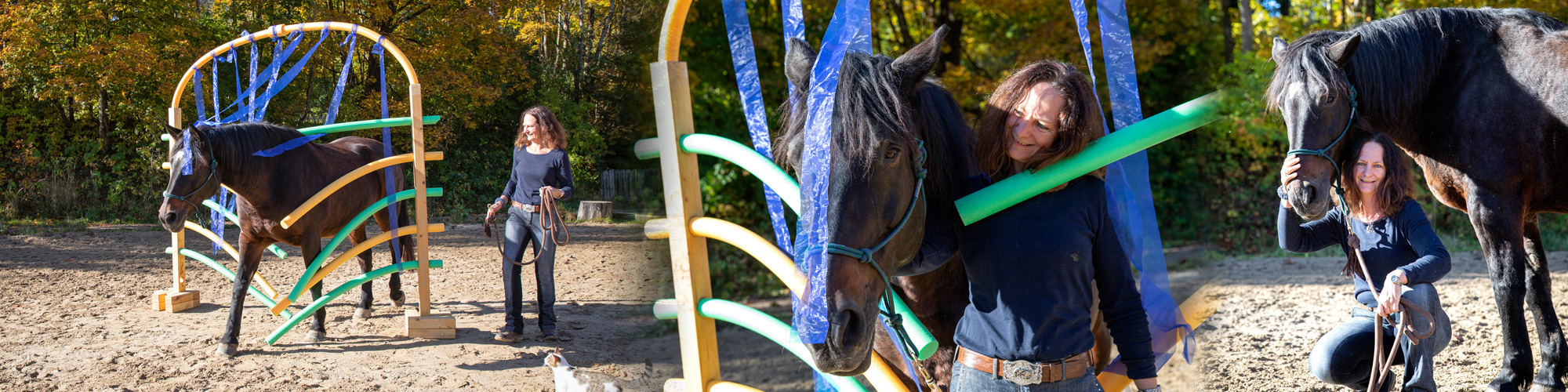 CKS Agilitech Horse Agility Training - Trainingssystem